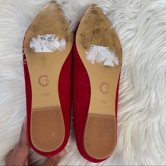 Cynthia Rowley | Shoes | Cynthia Rowell Suede Flat Pointed Toe ...
